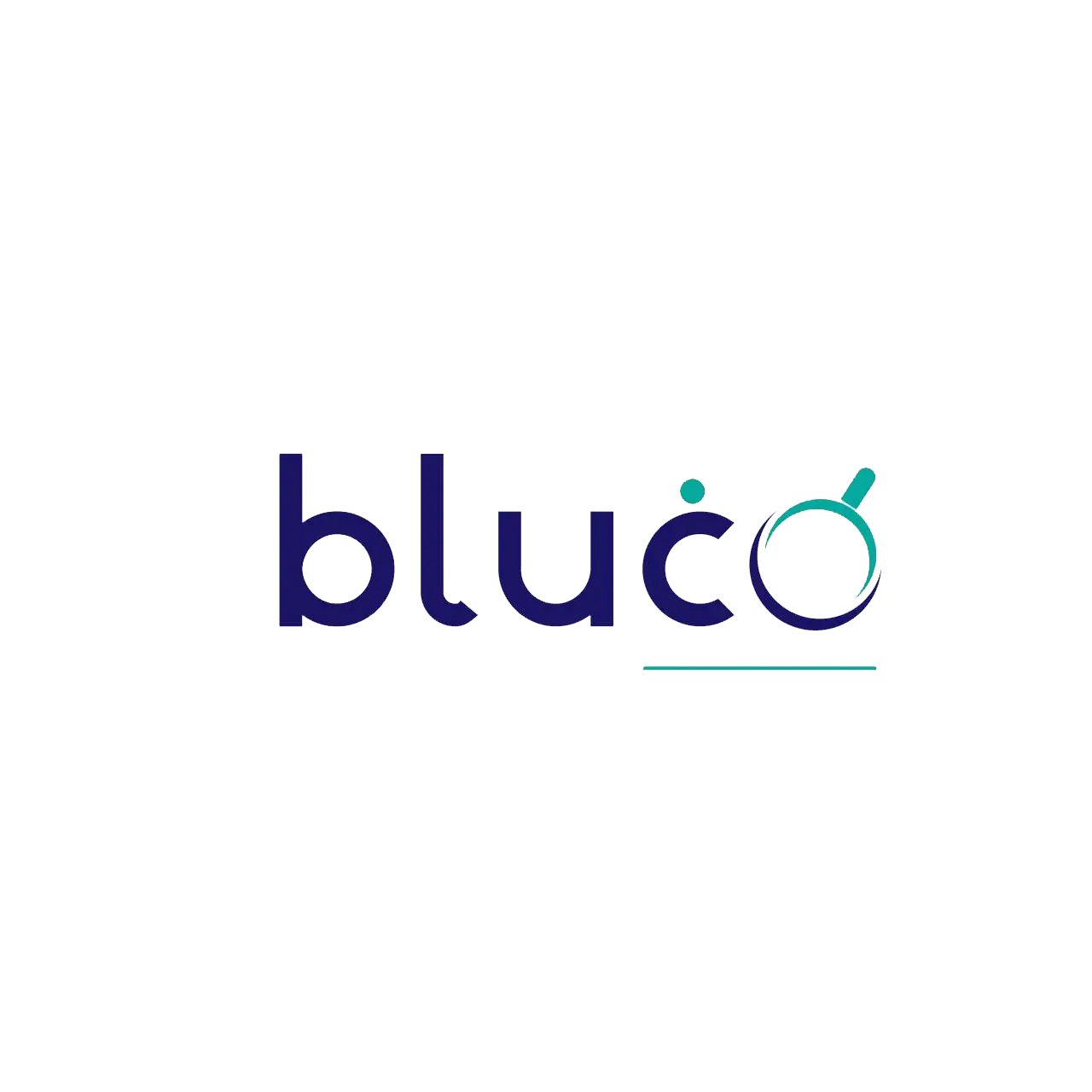 About Us - bluco.ae